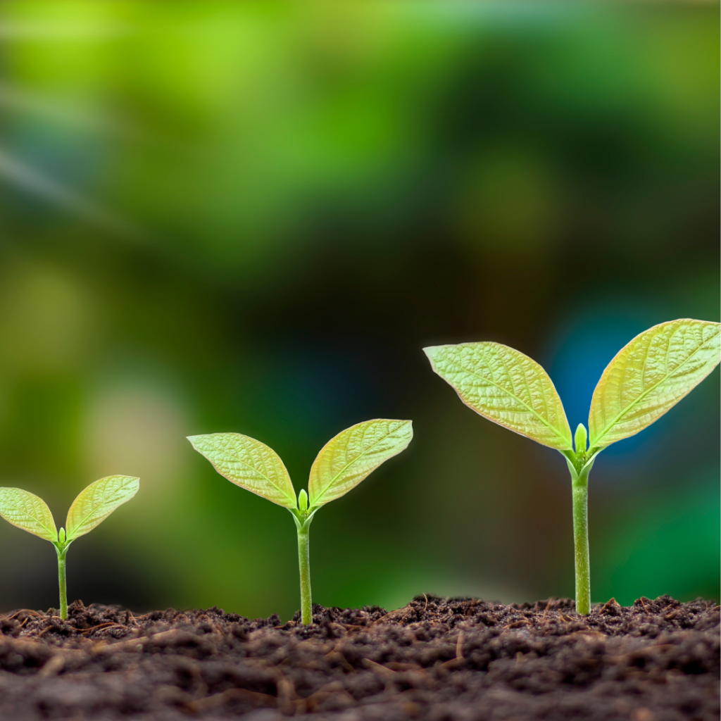 The Joy of Giving Back – Elevate